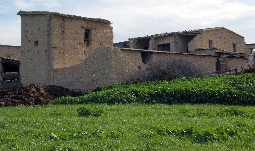 III. Green Line: Nicosia to the East Coast - fergusmurraysculpture.com