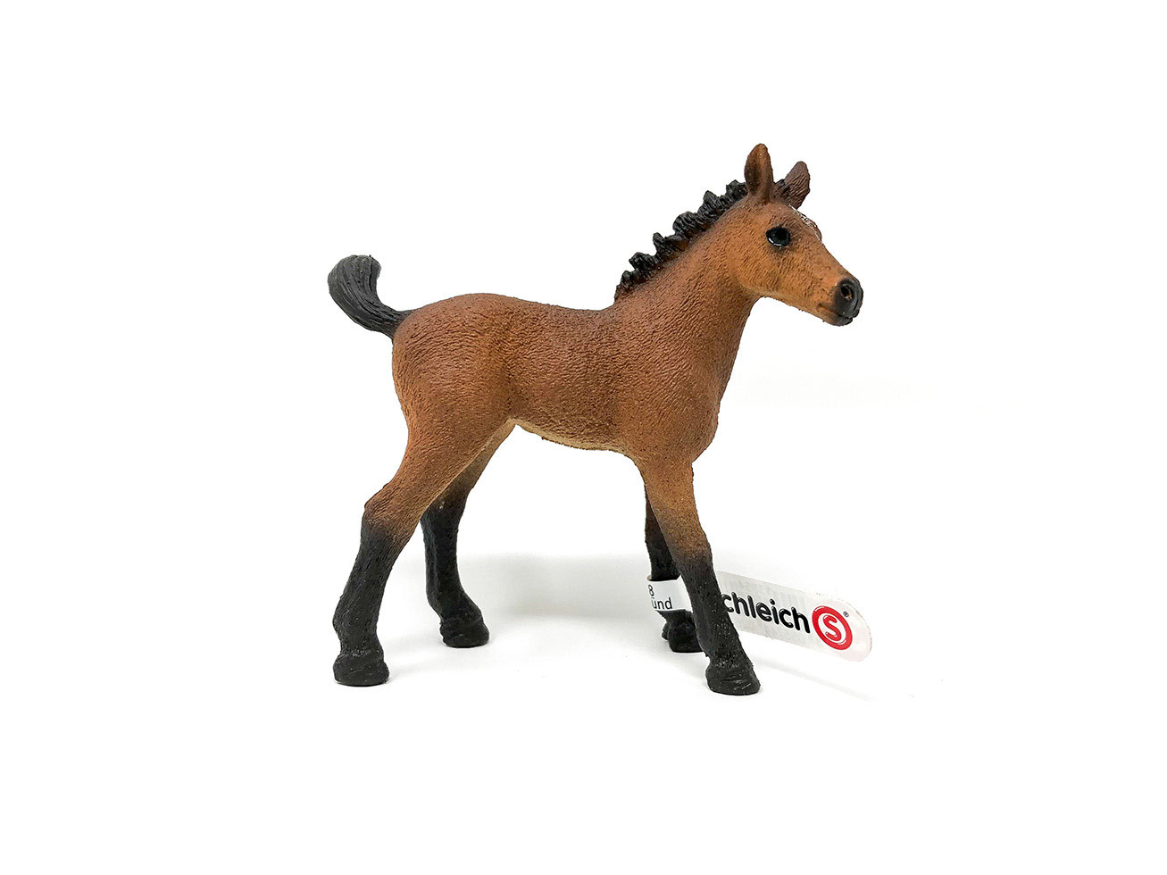 Fohlen - Schleichtier-Sammlung Webseite!