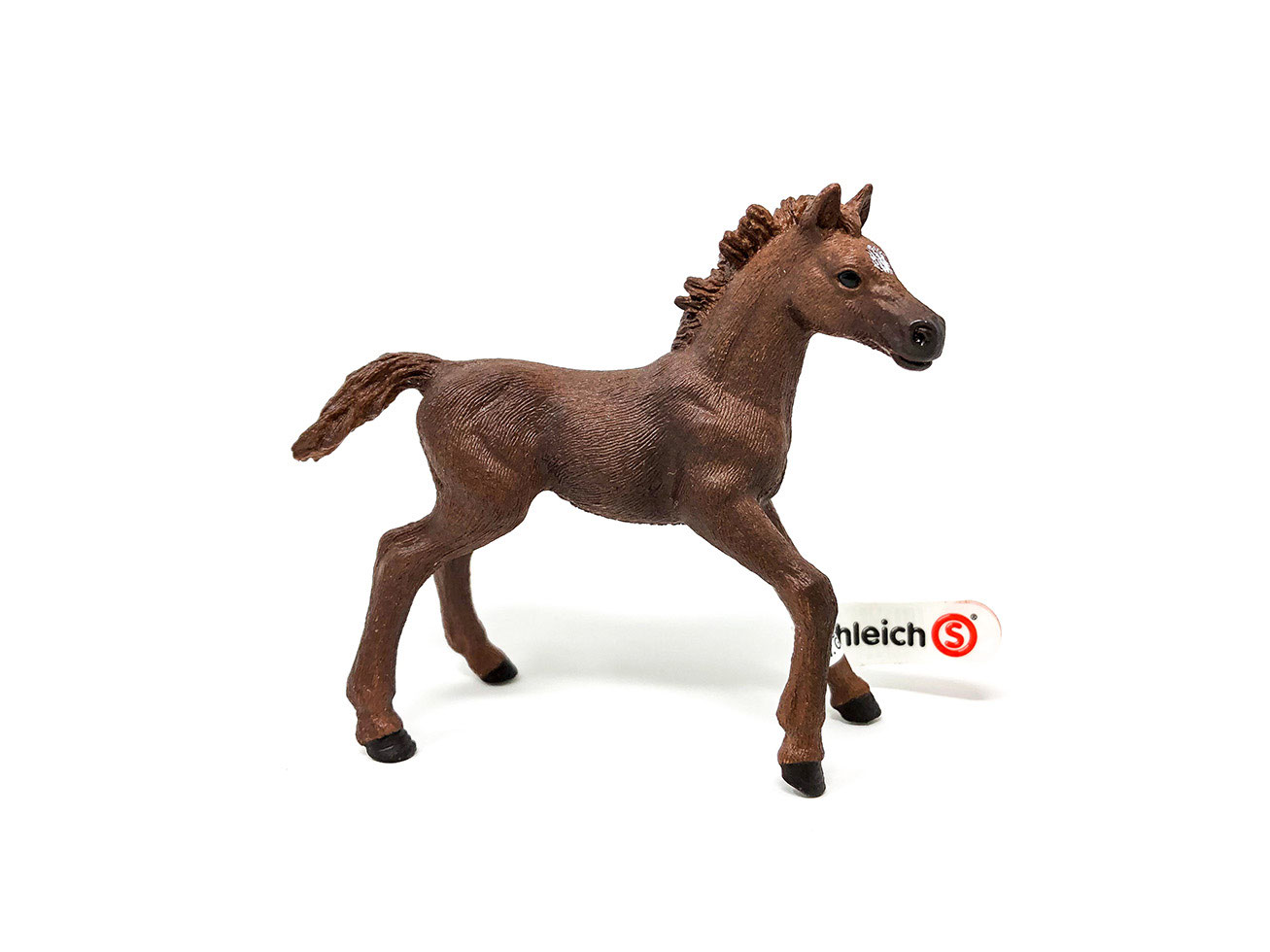 Fohlen - Schleichtier-Sammlung Webseite!