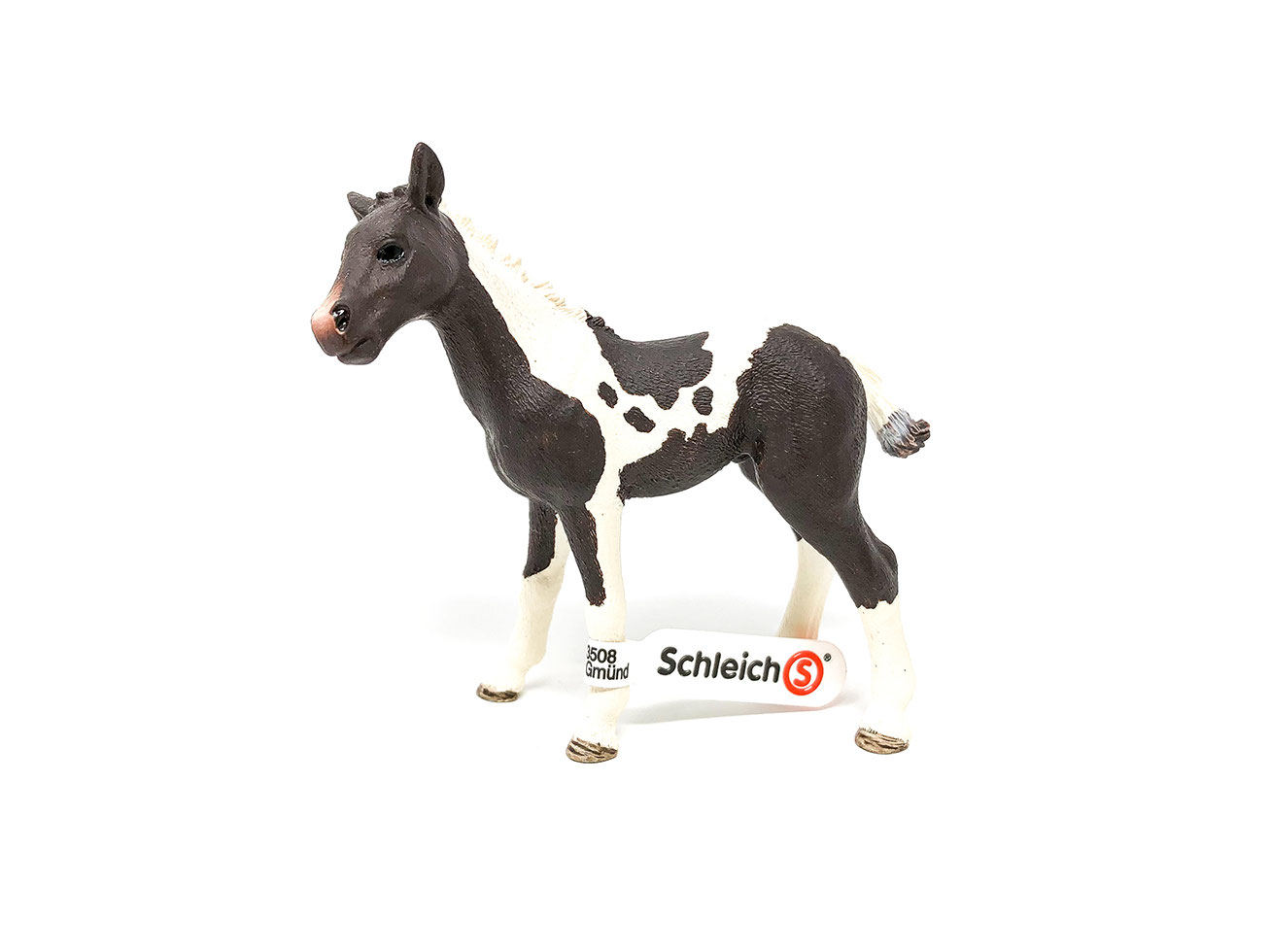 Fohlen - Schleichtier-Sammlung Webseite!