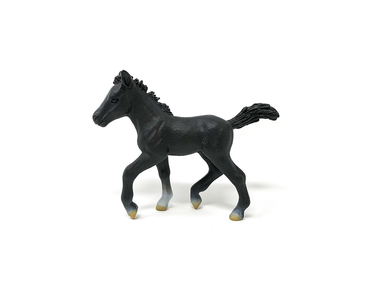 Fohlen - Schleichtier-Sammlung Webseite!