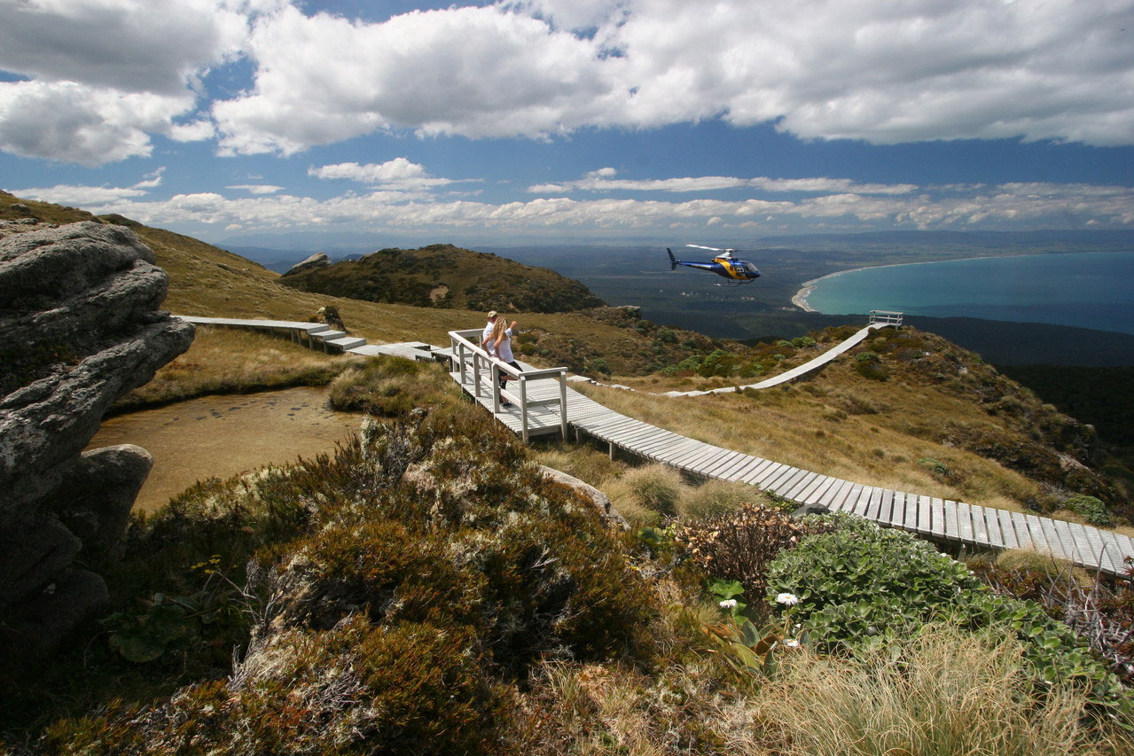 Hump Ridge Track 3-day guided walk - Tuatapere - Fiordland National ...