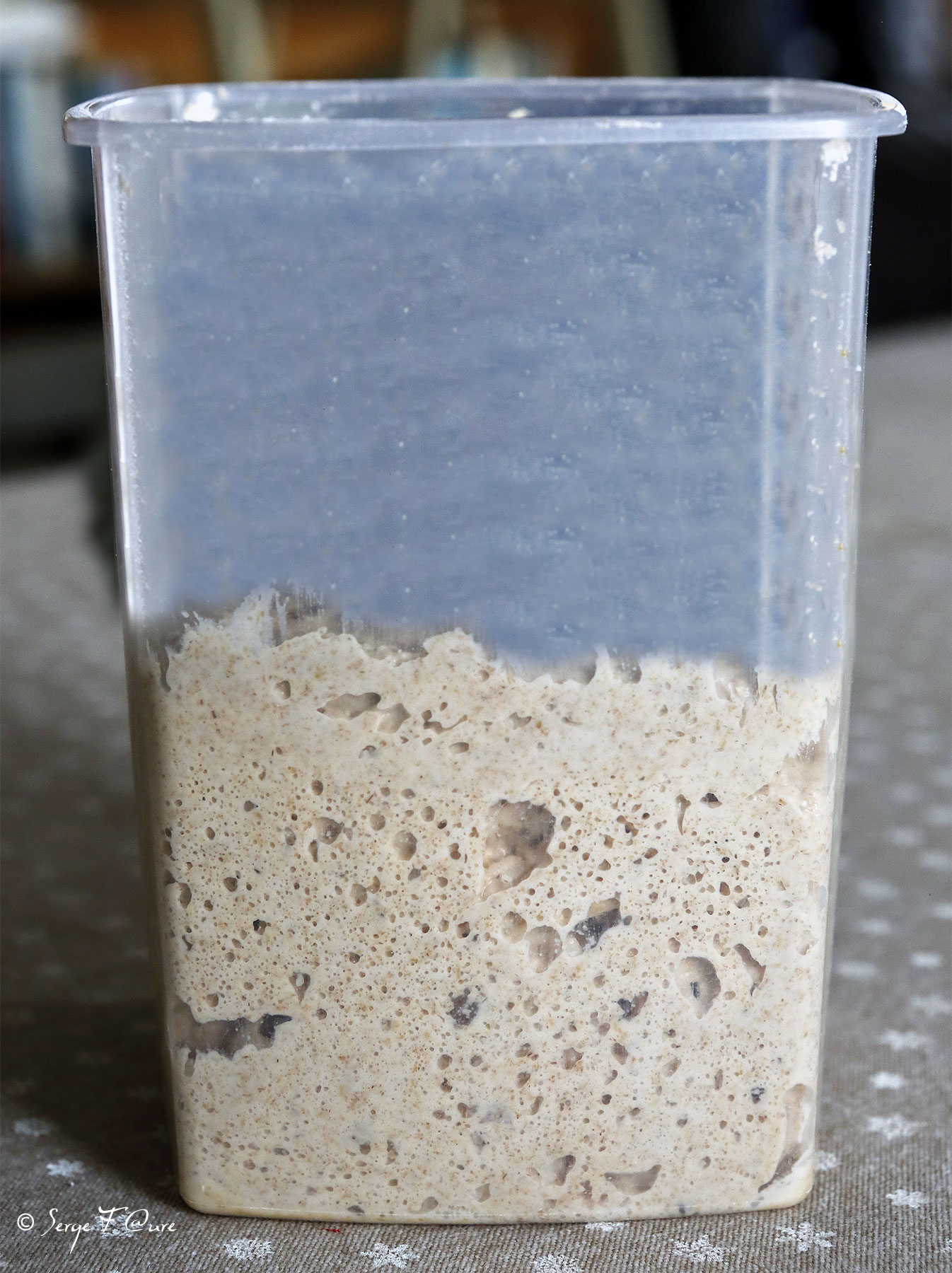 Fabrication du levain naturel maison - La Cuisine Gourmande de Serge