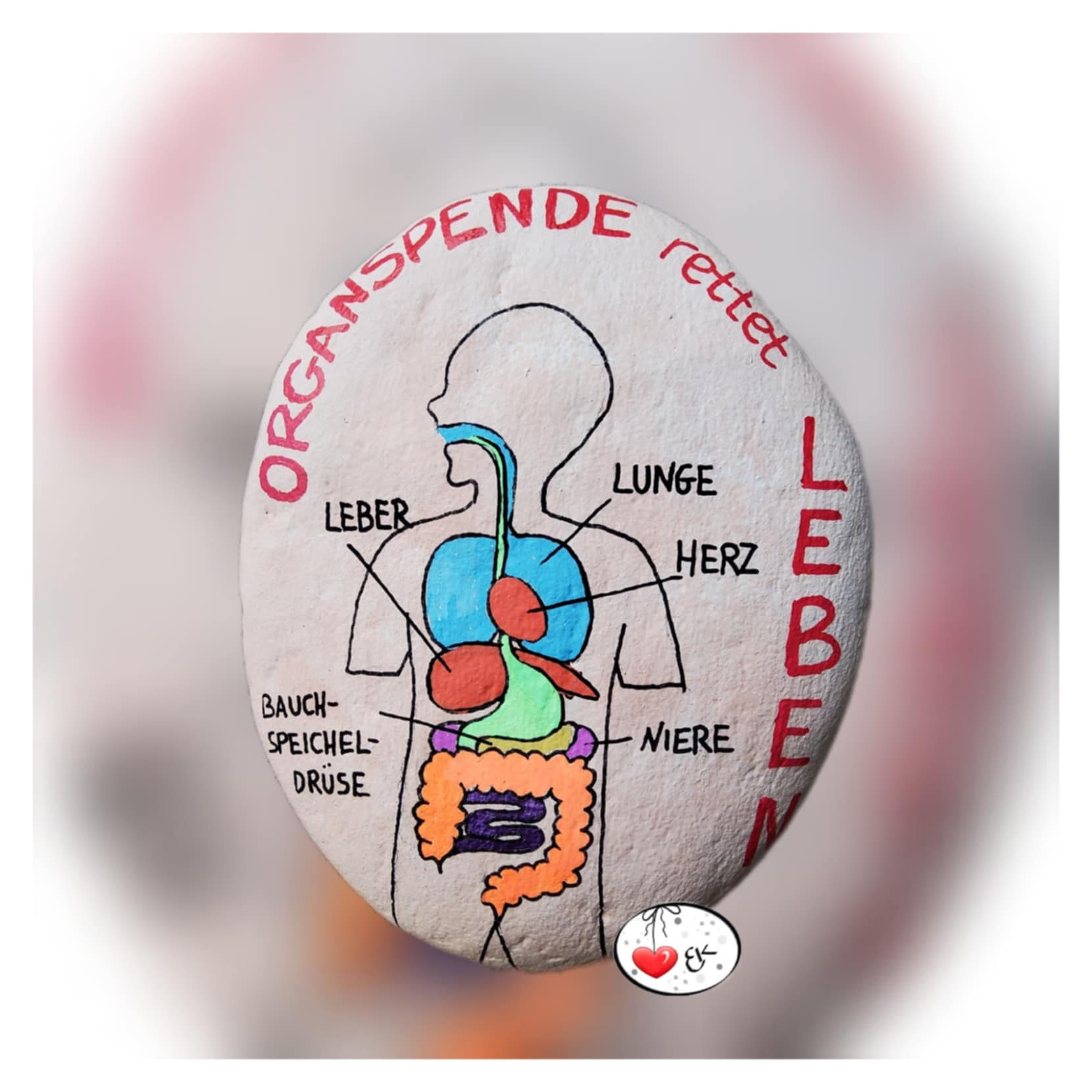 Punktion eines PTFE Shunts - Spektrum Dialyse – Wissen, Hilfe & Infos ...
