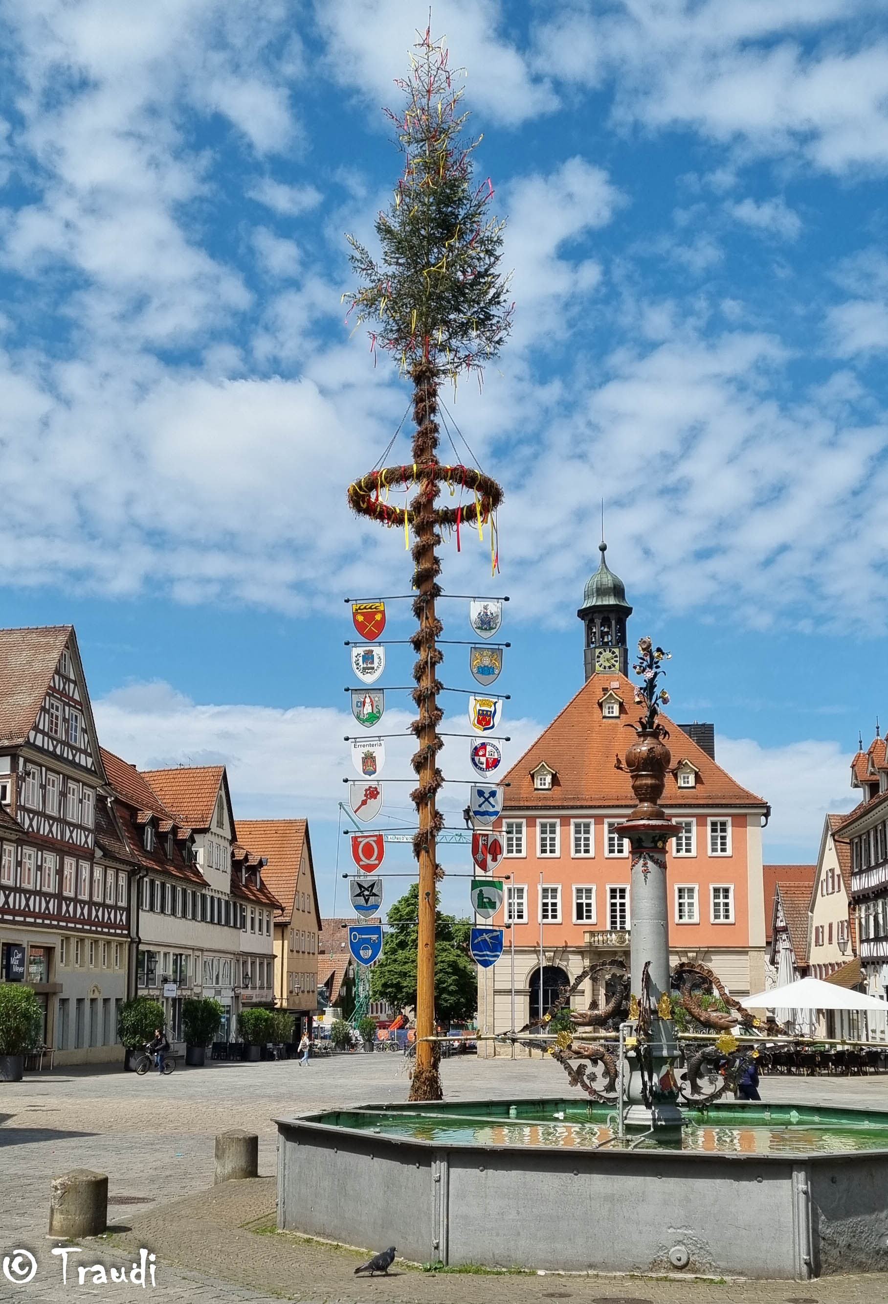 Der Maibaum - SchlossSpross