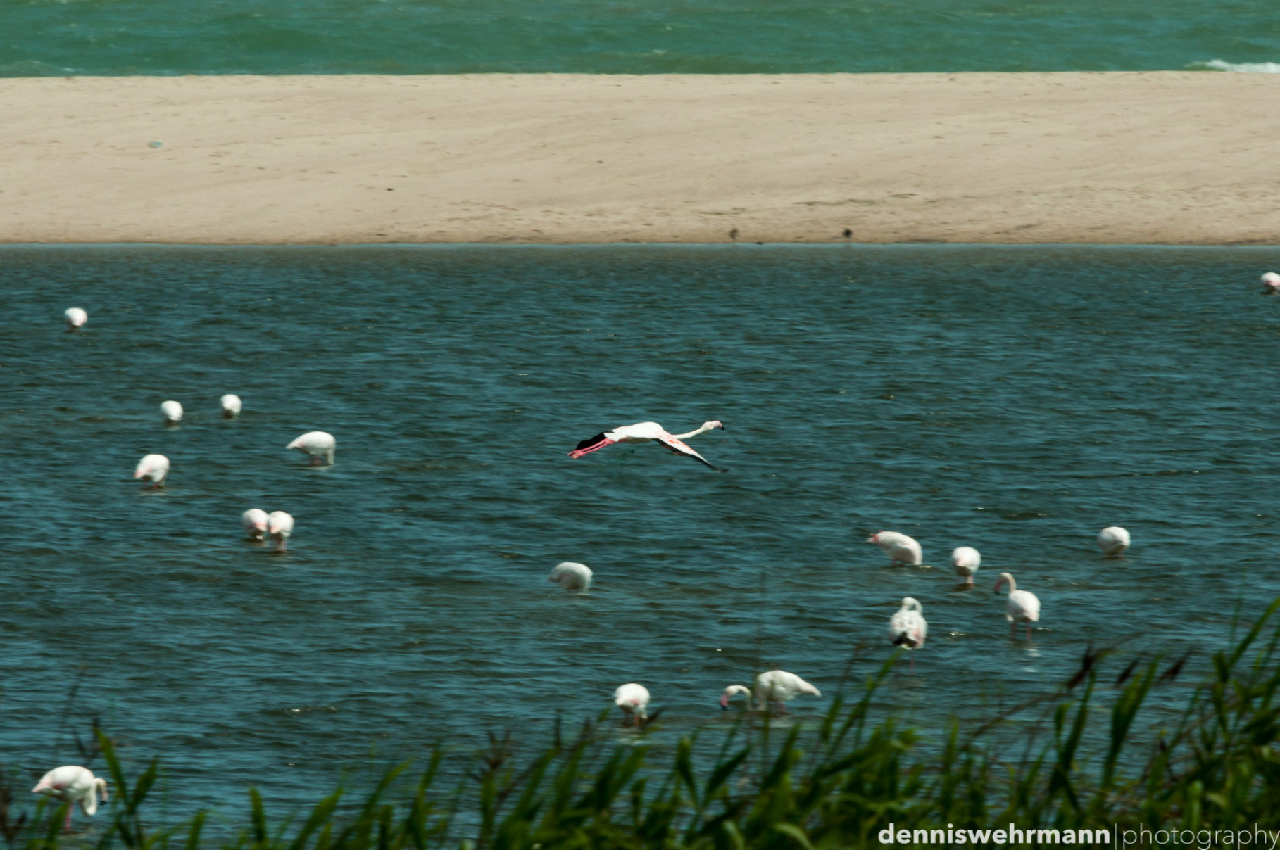 Reisebericht Selbstfahrerreise Namibia - Namib Wüste und Swakopmund ...