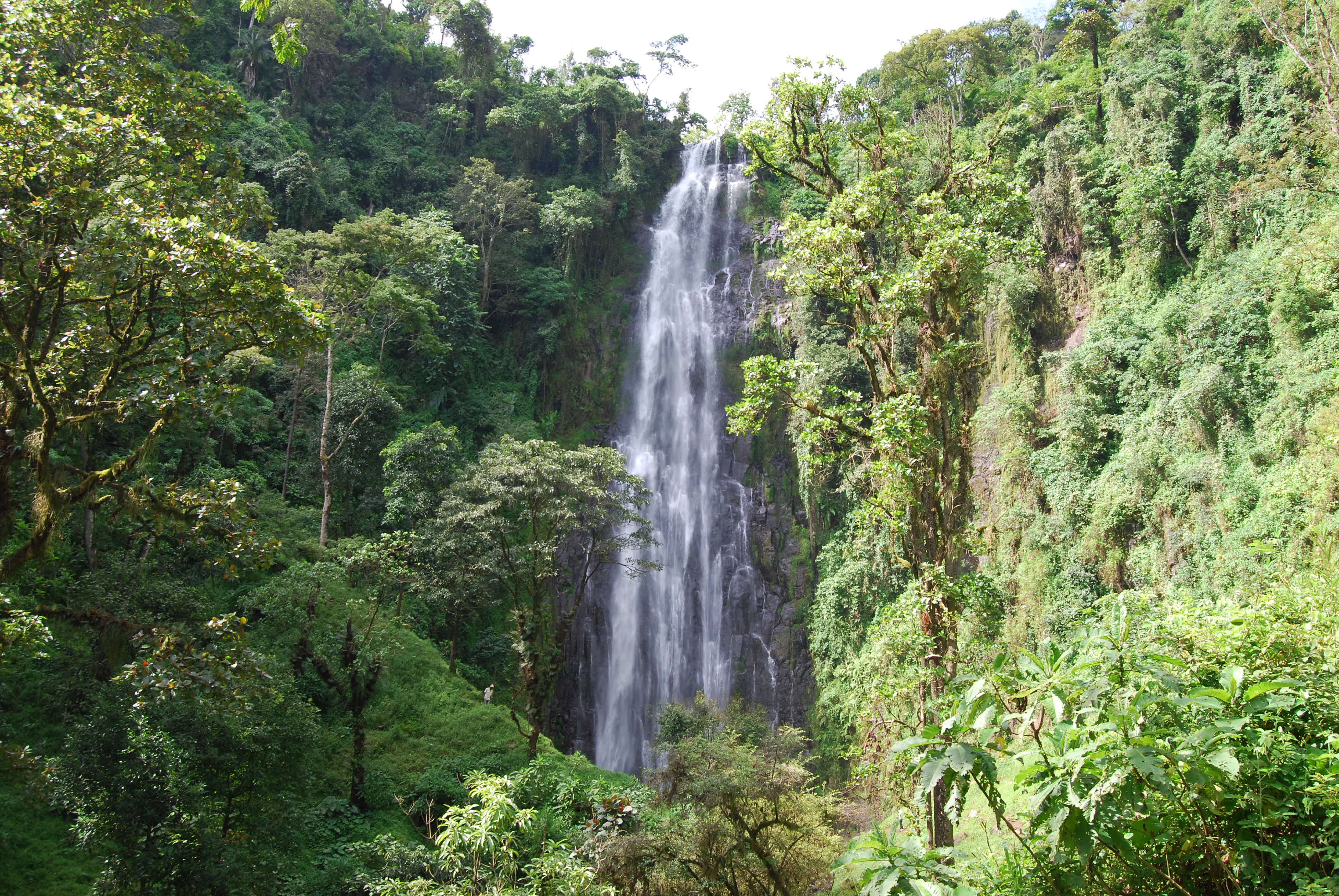 Materuni Waterfall & Coffee Tour - Twanga Touring - experience in the ...