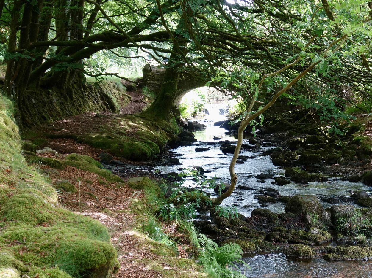 Der Exmoor Nationalpark in England: Sehenswürdigkeiten, Camping ...