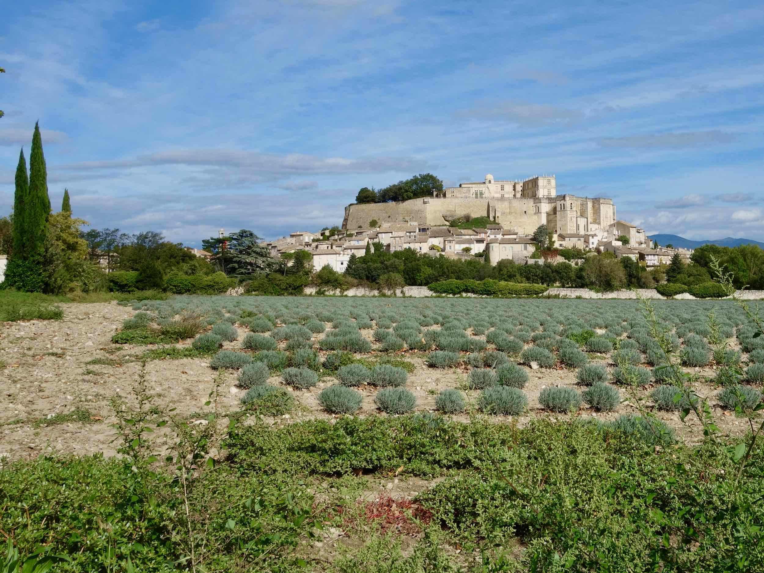 Grignan in der Provence: Malerisches Dorf mit Schloss und Markt - Tipps