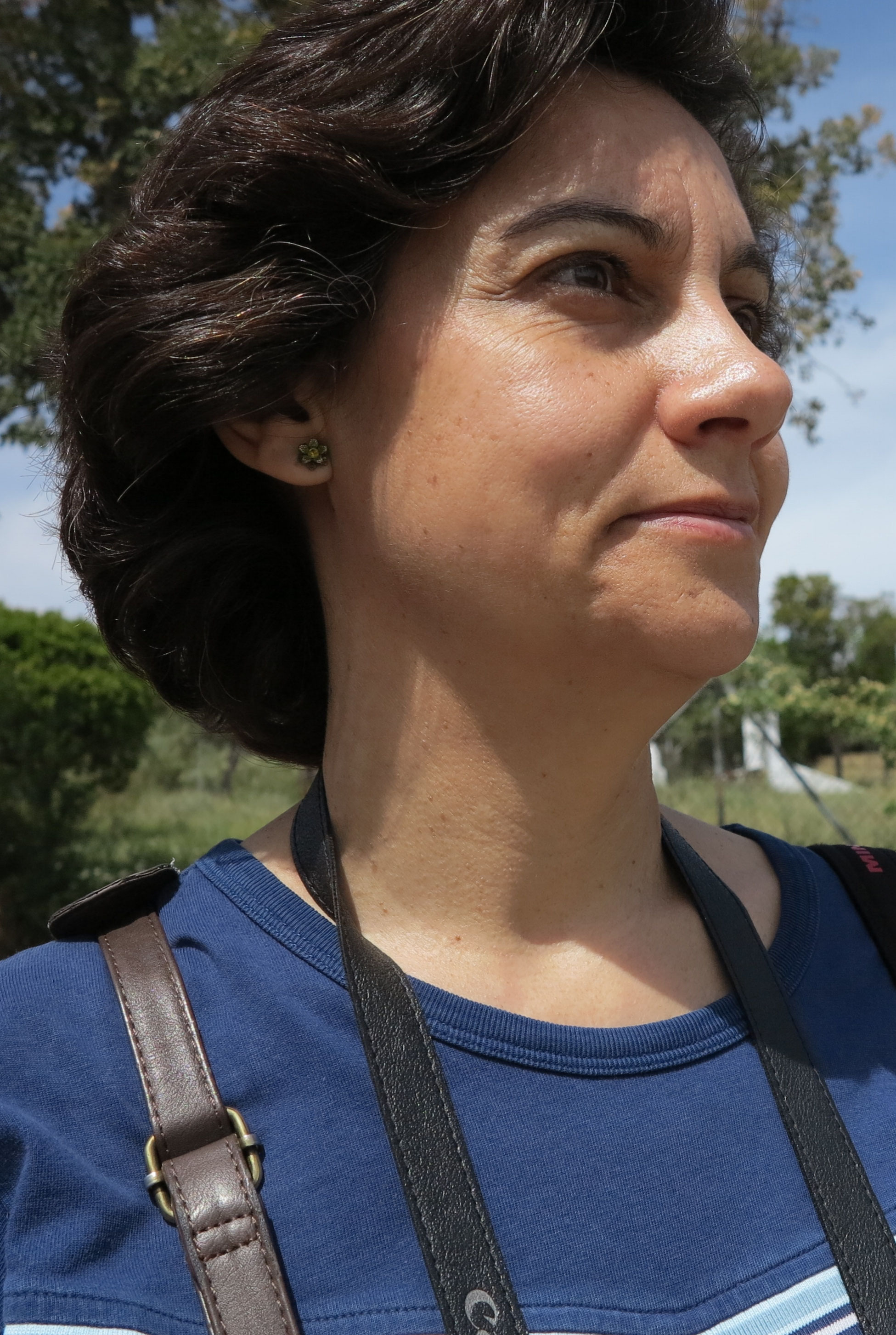 López Ávila, Pilar - Página web de aeex