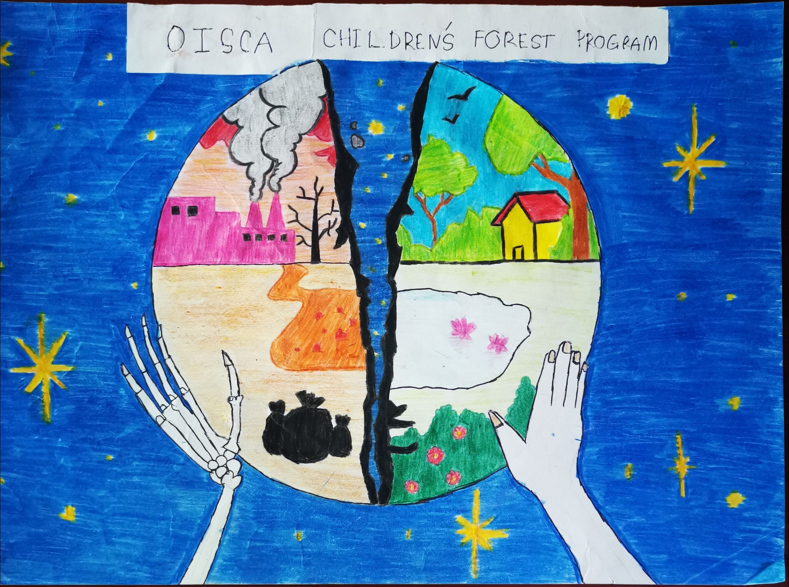 Biodiversity Poster Making