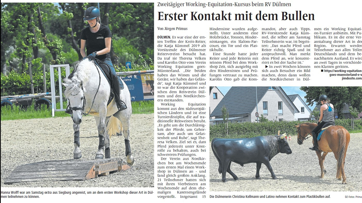 Dülmener Zeitung Heute , Traueranzeigen der letzten 14 Tage – JSHJE