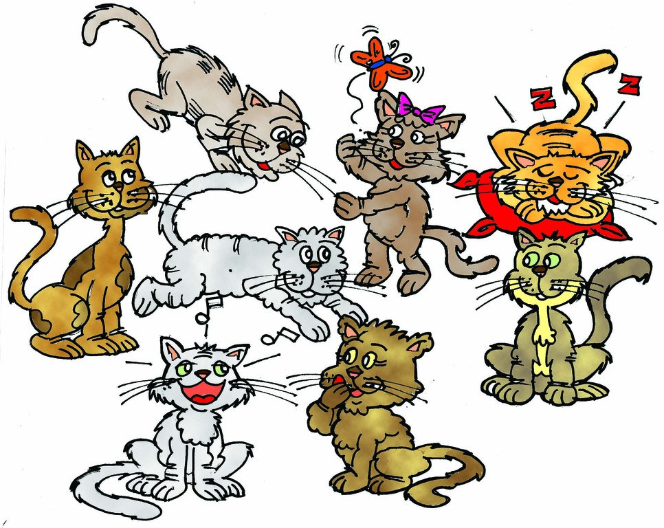 Quiero un gato - PURO GATOS - Cuidado del gato