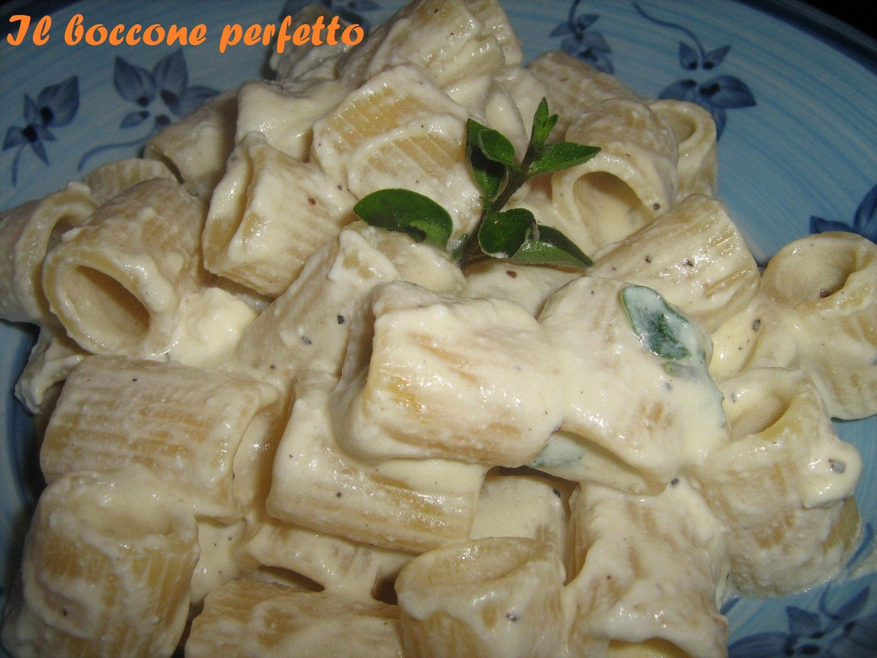 Mezze maniche alla ricotta - ilbocconeperfetto