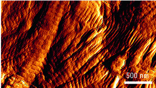 Cutimed Epiona Kollagen Wundauflage - sorbion austria