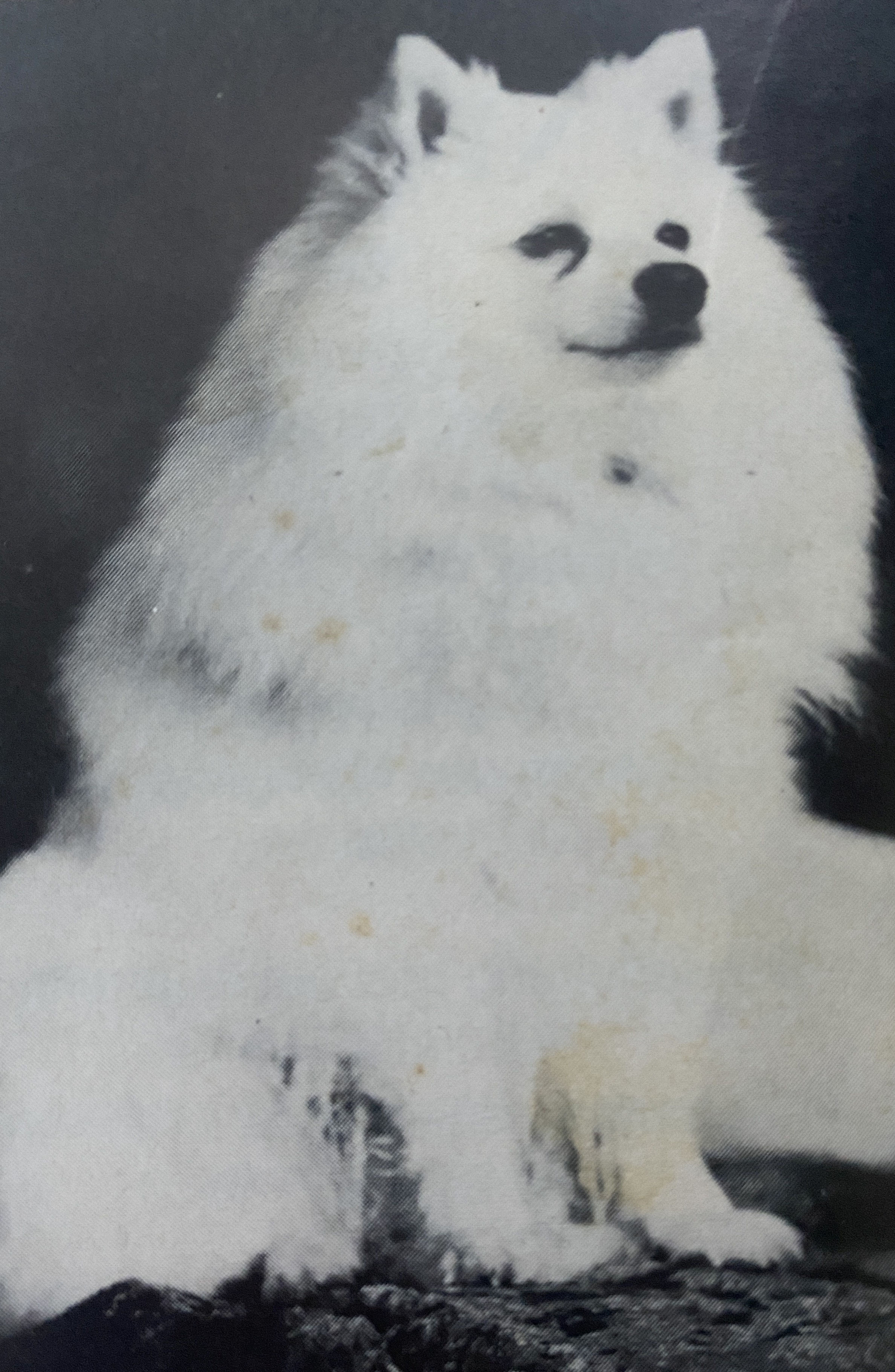 The Mittel Spitz - Preußenspitz