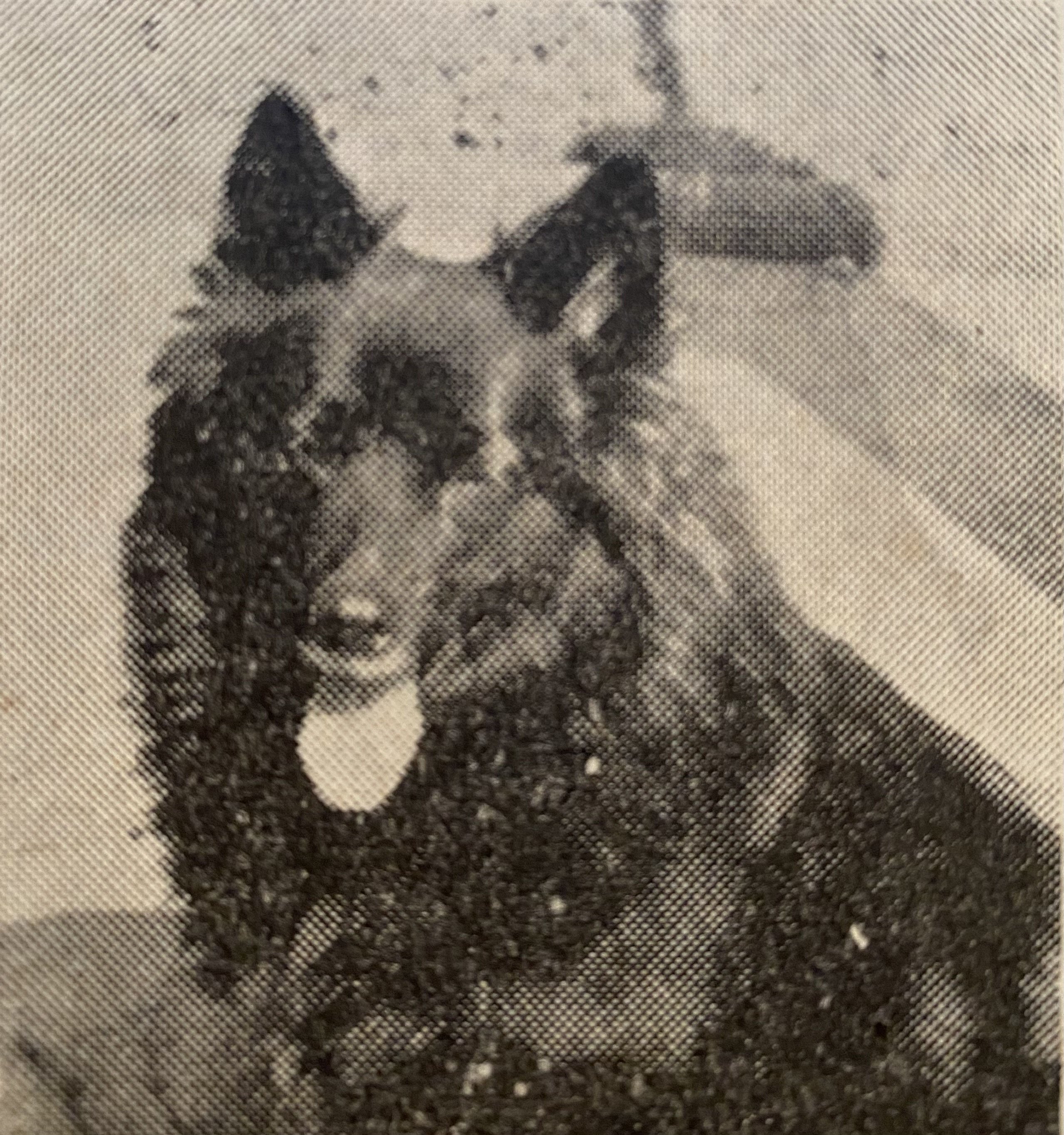 Rescue from the murderer - Preußenspitz