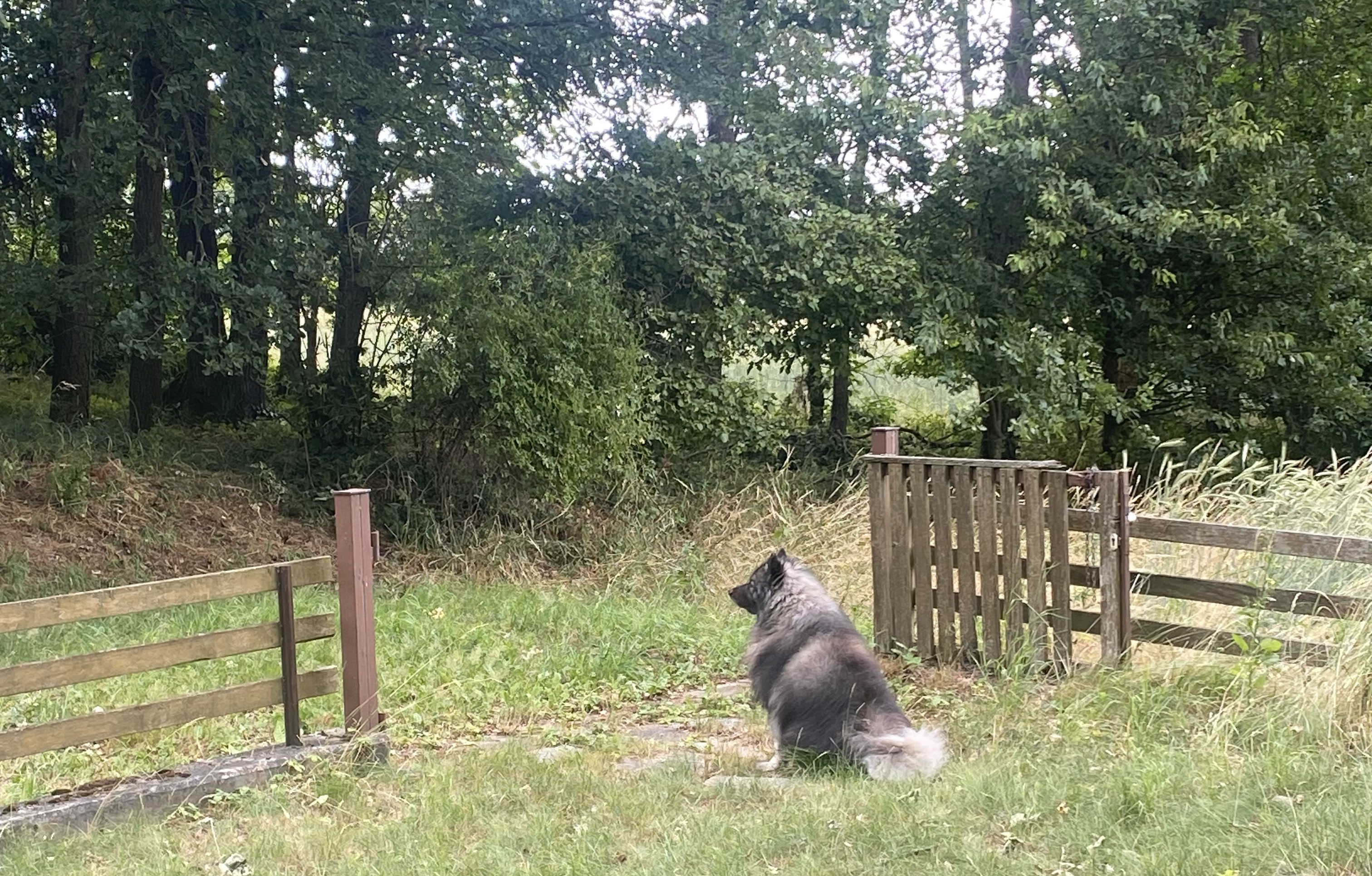 About Spitz's nature - Preußenspitz