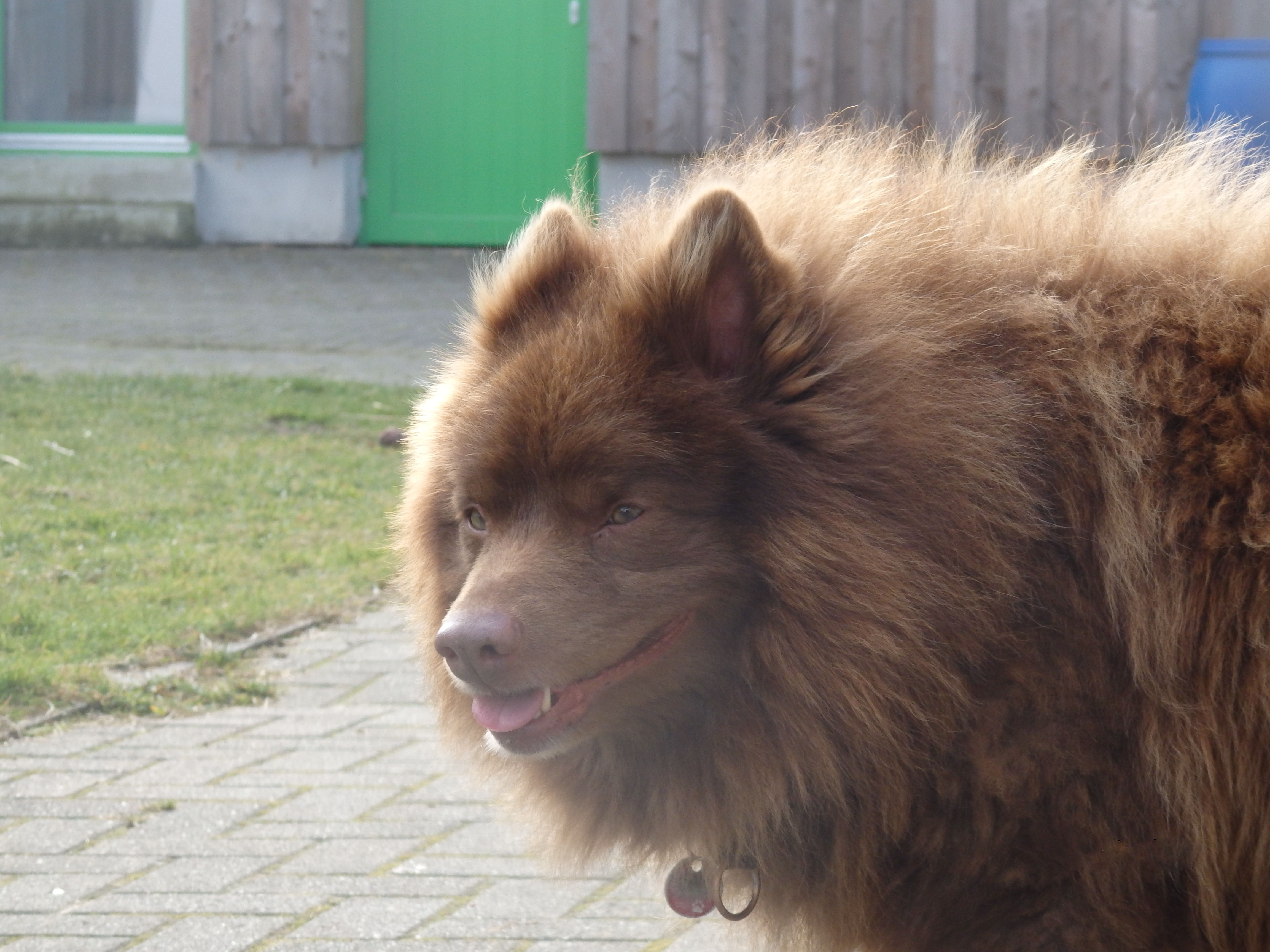 The Giant Spitz - Preußenspitz