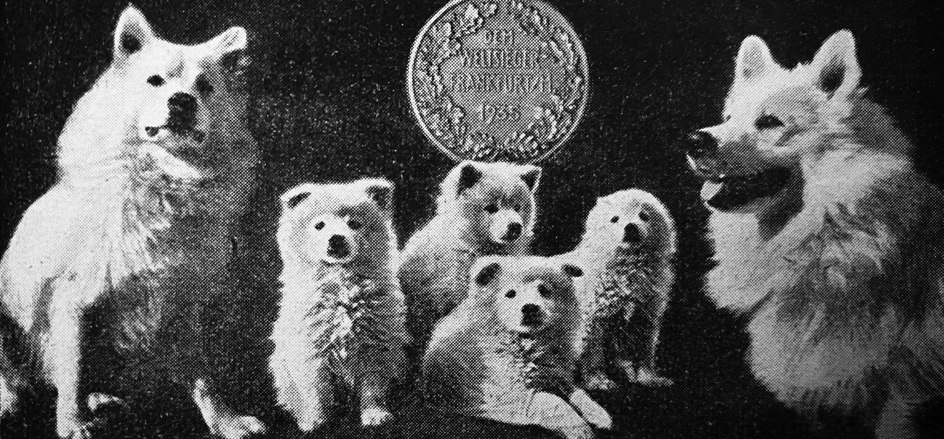 The Giant Spitz - Preußenspitz