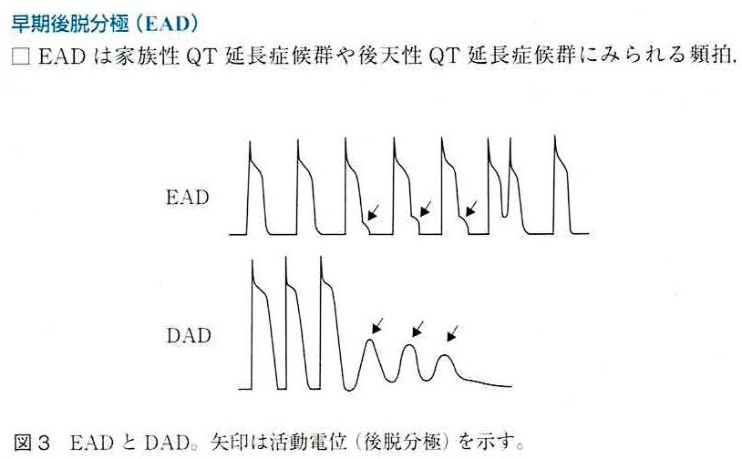 現代医学(111) - 幹鍼灸院（浦和駅西口｜不定愁訴と運動器疾患）