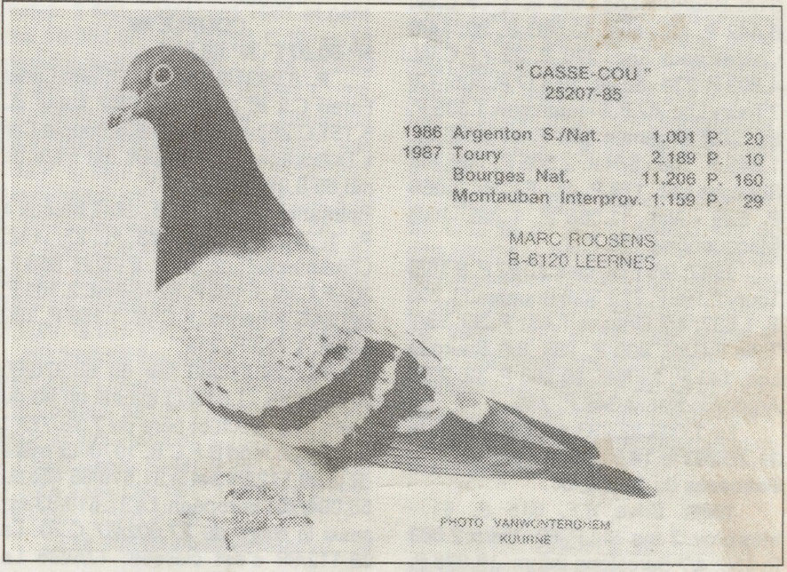 Principales Origines - Colombier Dudouit