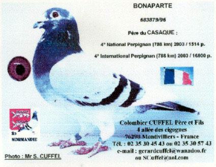 Principales Origines - Colombier Dudouit