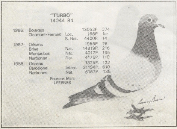 Marc ROOSENS (Leernes - BE) - Colombier Dudouit