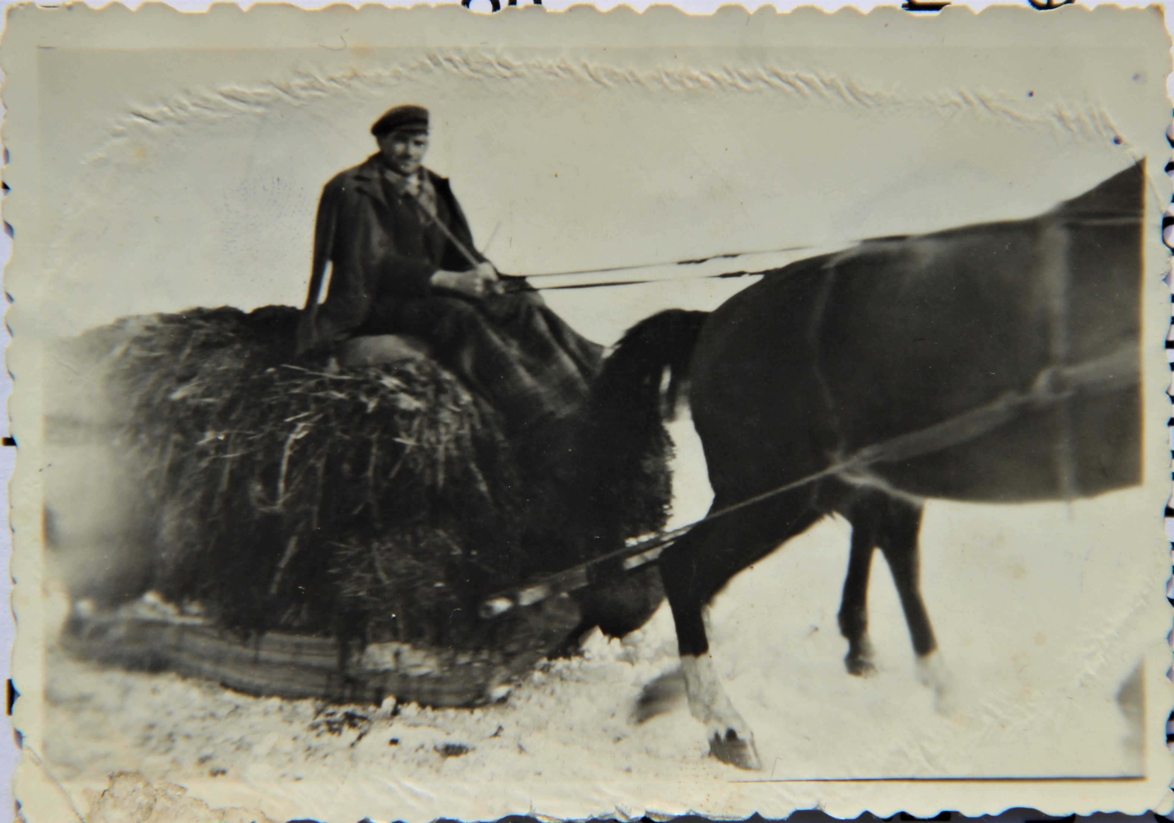 „Das schönste Wappen auf der Welt, das ist ein Pflug im Ackerfeld ...