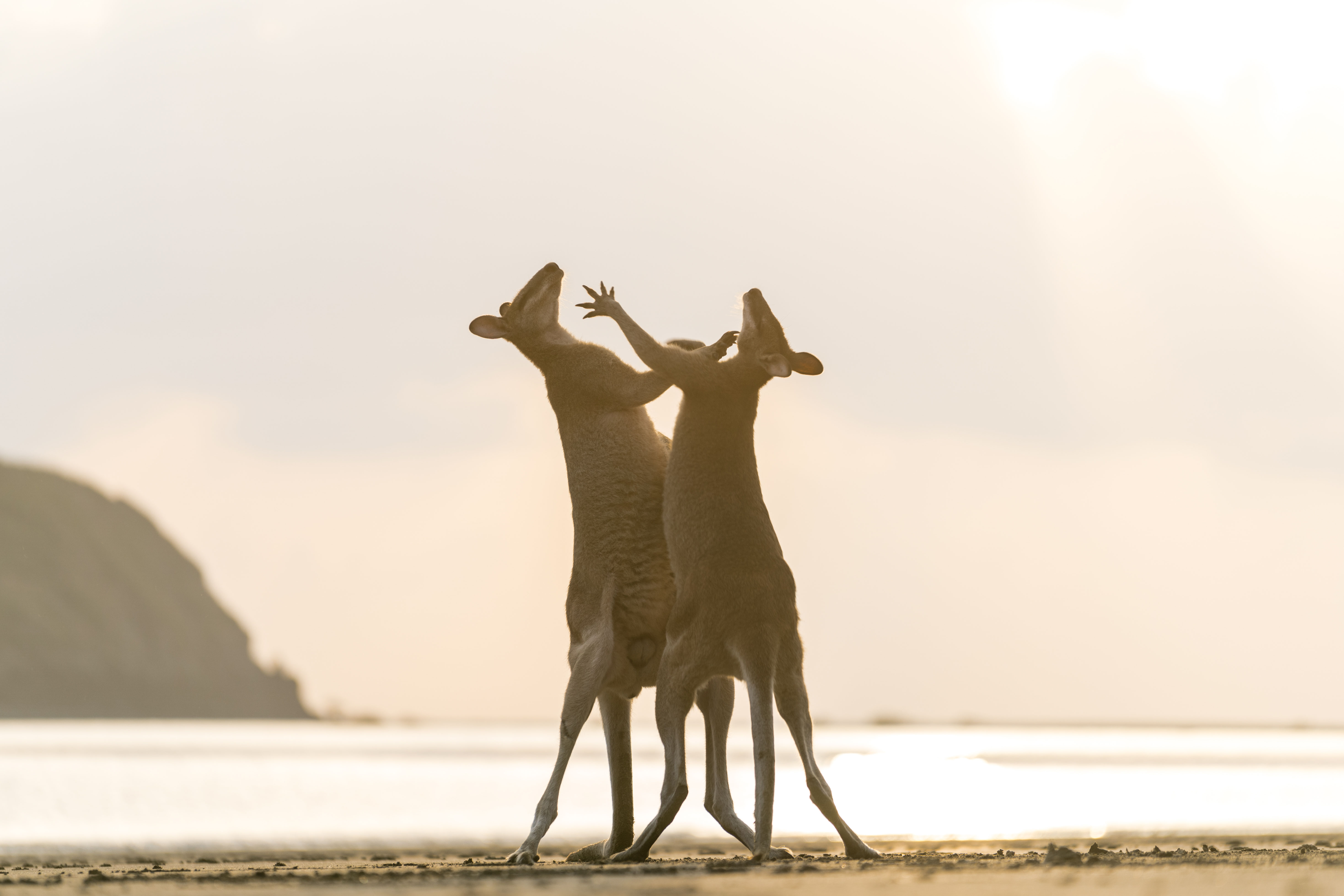 Australia - Jens Assmann Photography