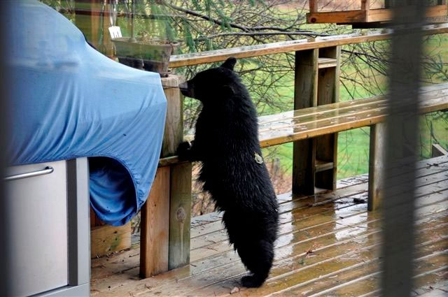 Aktuelles - kispiox-river-ranch