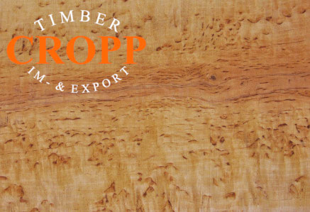 Holzarten von A-Z und ihre Eigenschaften - Timber Im - & Export ...