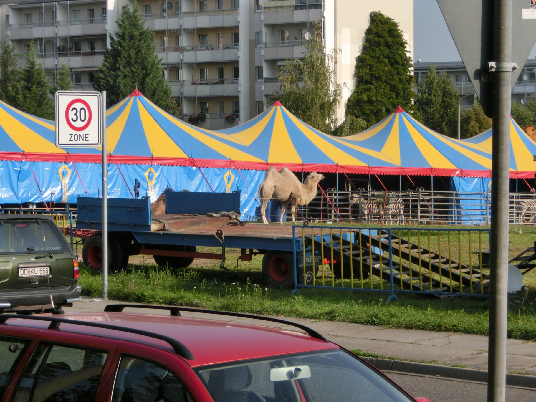 Dresden 2015 - circus-gastspiele