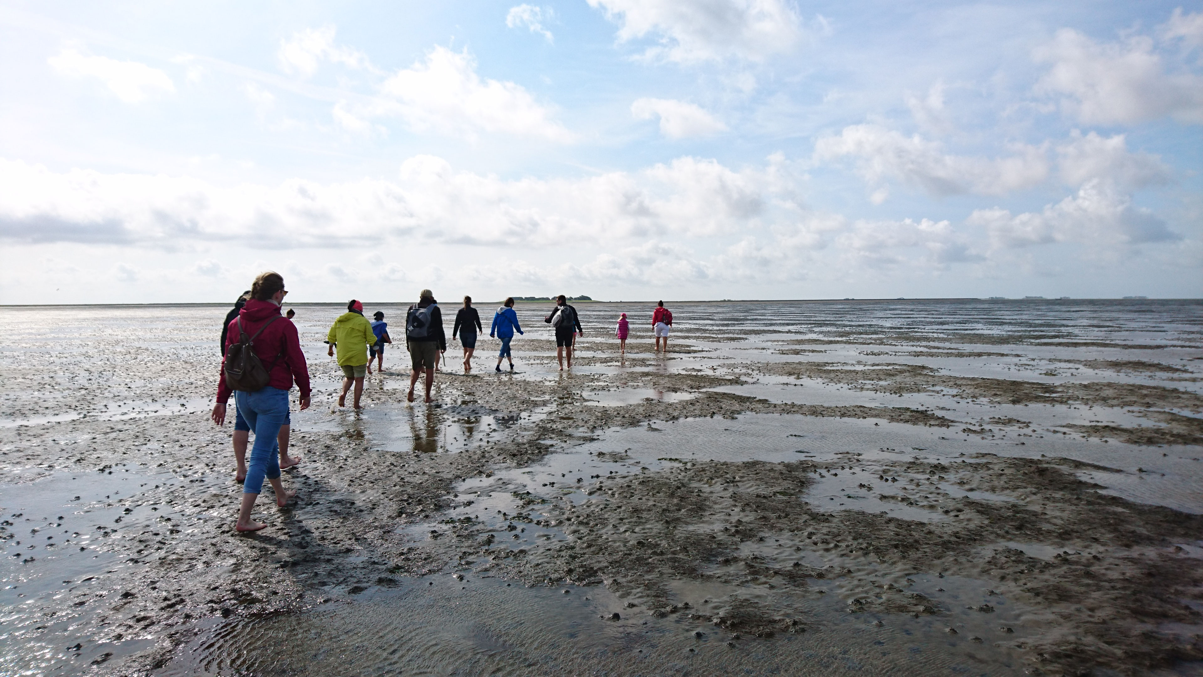 Wattwanderung zur Hallig Oland - Wattlaufen zu den Halligen an ...