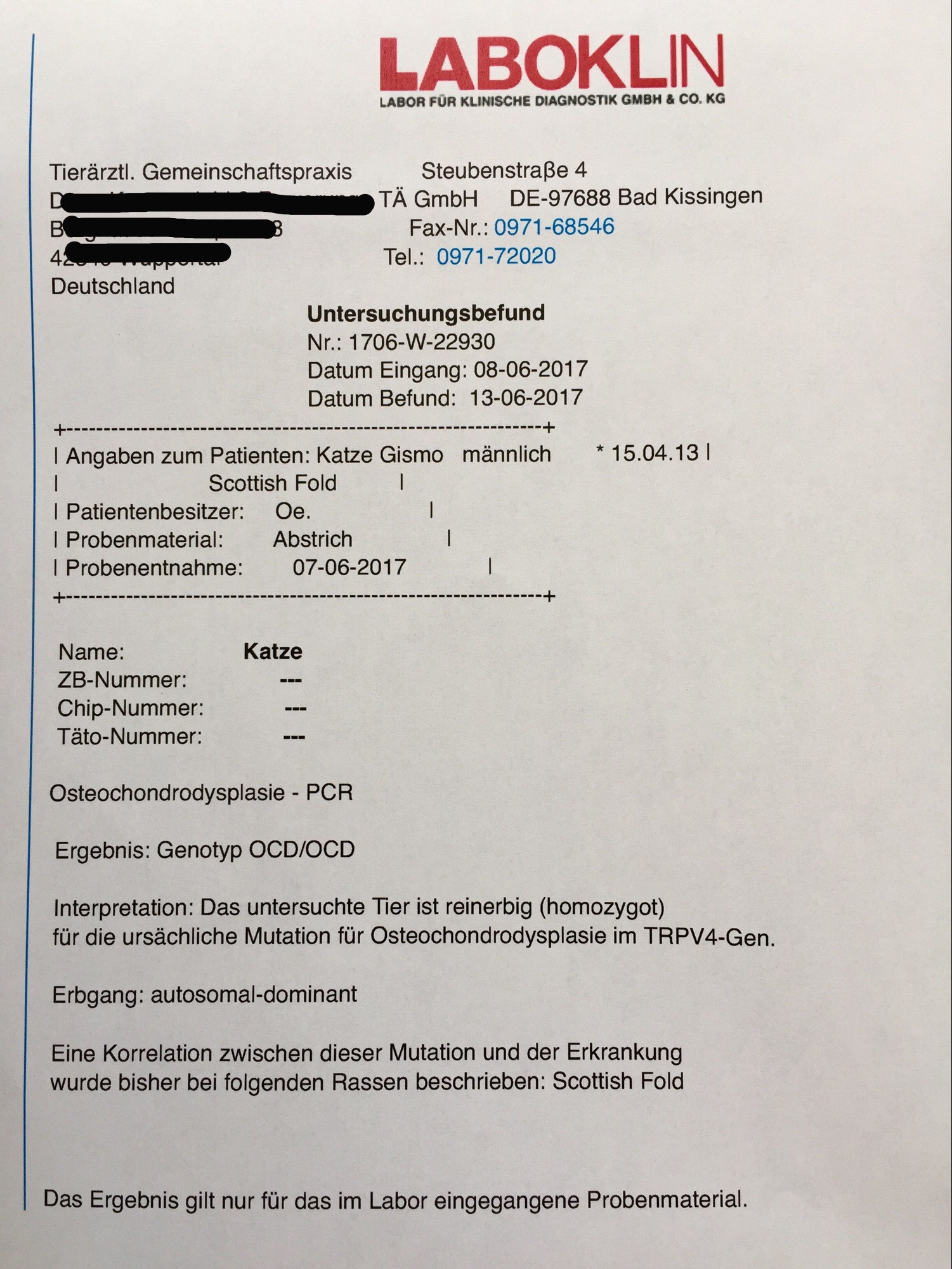 Scottish Fold OCD Tests - Katzengenetik - Vererbung der Fellfarben und ...