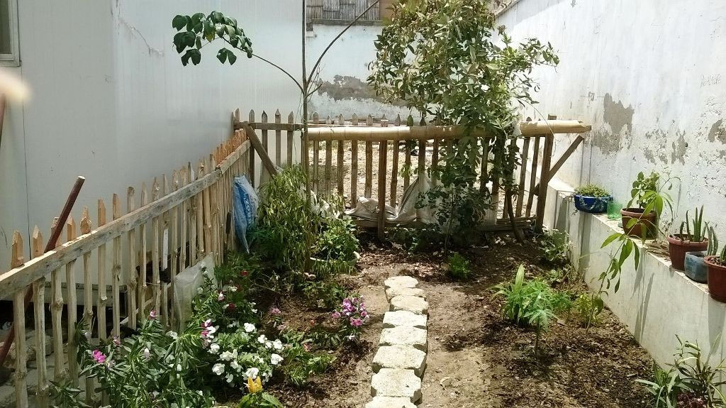 Consejos para una alimentación saludable - Revista LA GENTE de Manabí