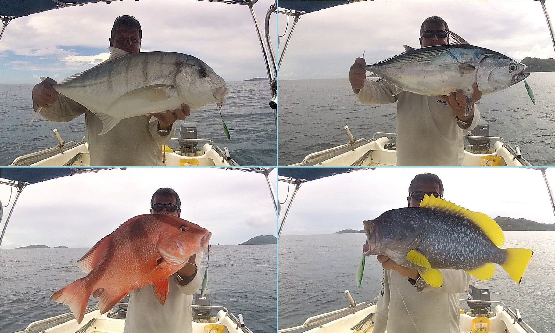 seychelles-fishing reports & information - Seychelles fishing - reports ...