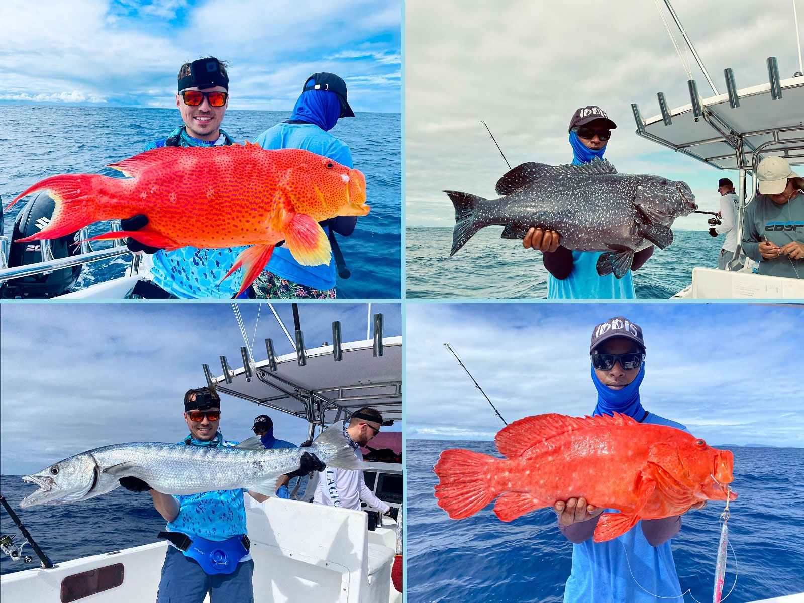 seychelles-fishing reports & information - Seychelles fishing - reports ...