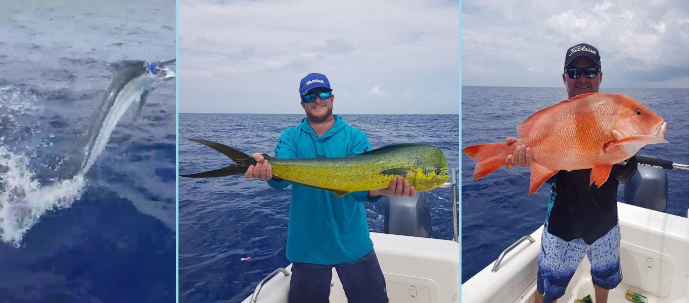 seychelles-fishing reports & information - Seychelles fishing - reports ...