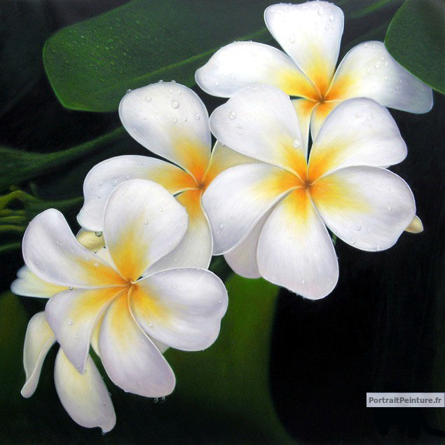 Peinture de fleurs - Fleurs en peinture - Portrait de fleur - Portrait ...