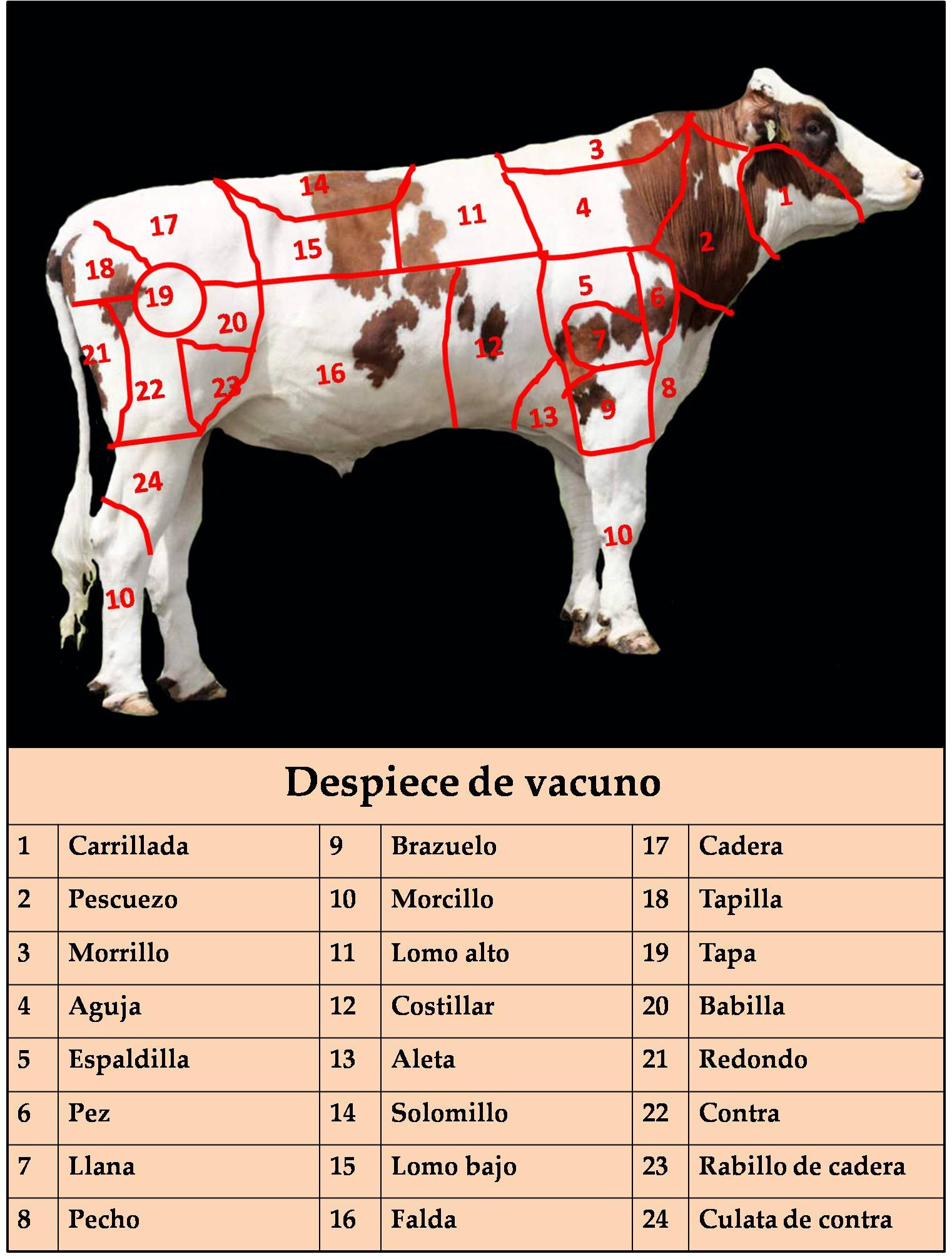 Vacuno - Página web de cocinacuriosa