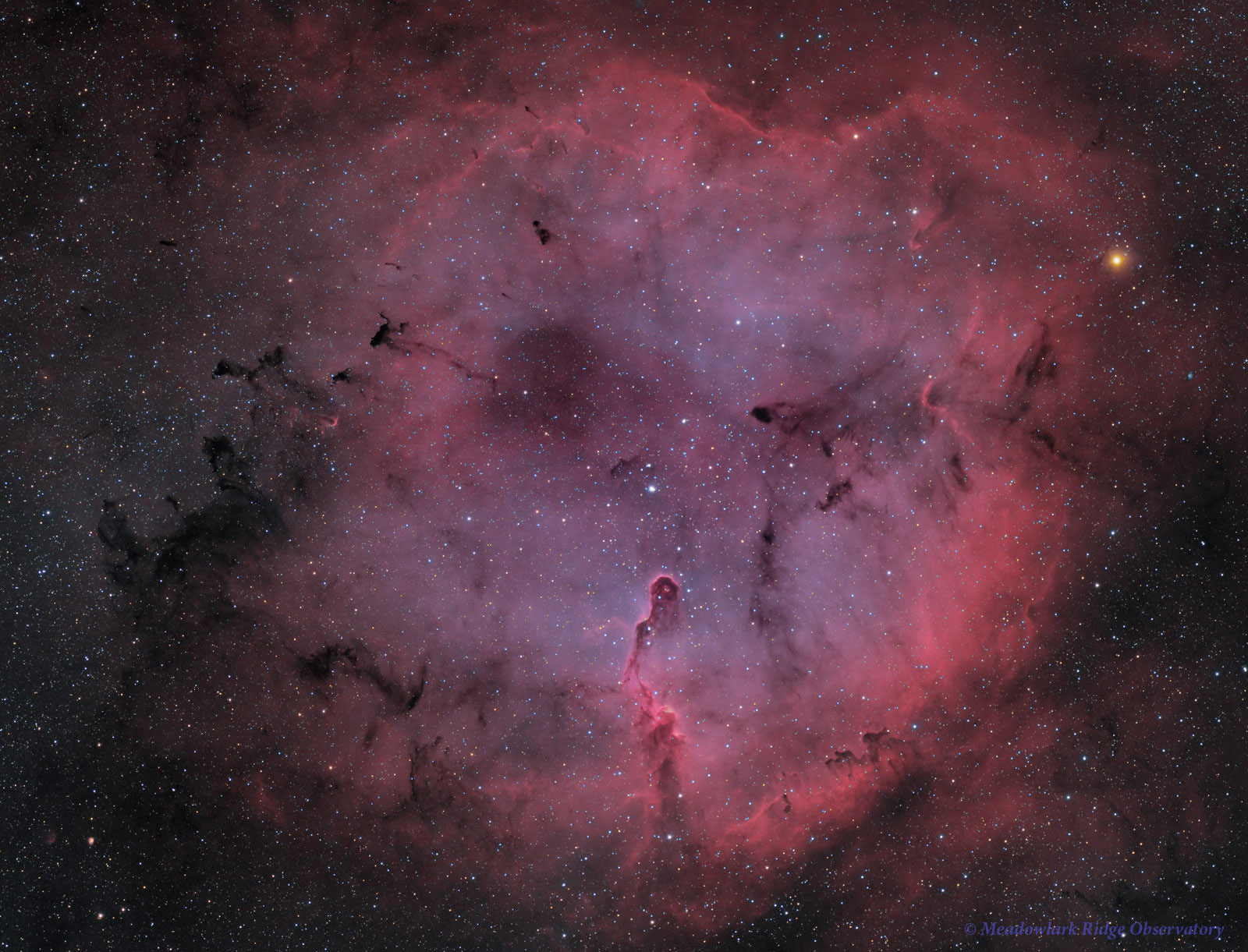 Ic 1396 Nebula