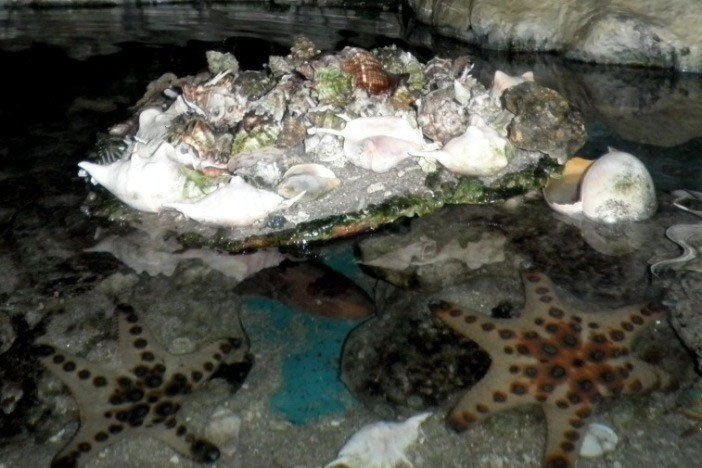 Philippine Places R - Z and Various Selections of Photos of Philippine ...