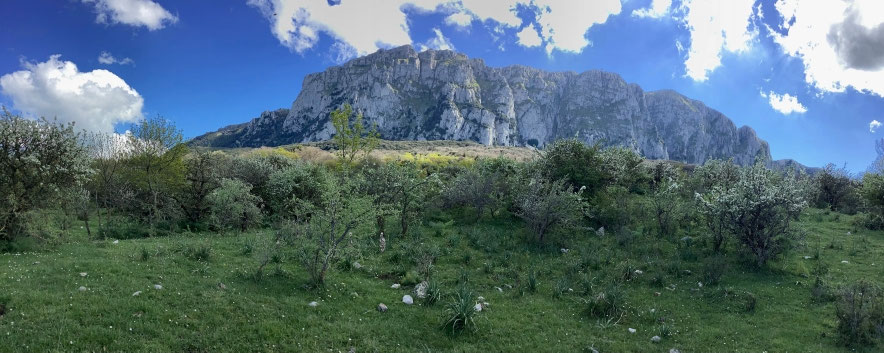 Bosce della Ficuzza - Site Jimdo de sfoprovence-alpes-cotedazur!