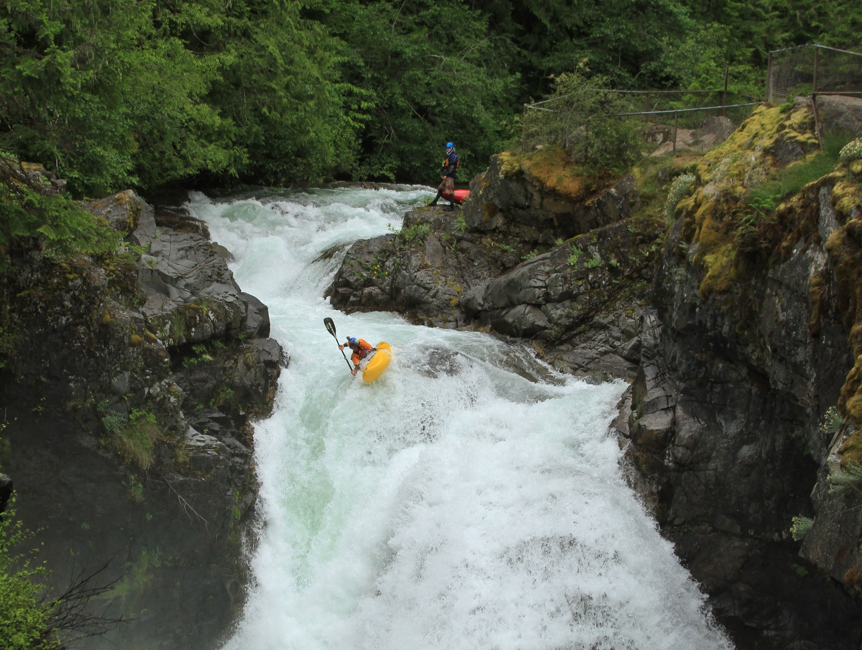 White Water Kayak Lessons - kaitunakayaks