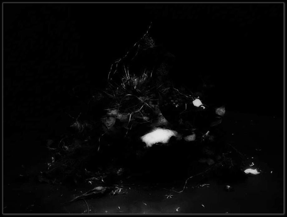 Camera Obscura - Christophe Biskup - Art,dessin, fusain, pierre noire