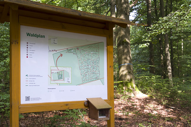 Friedwald Konzept