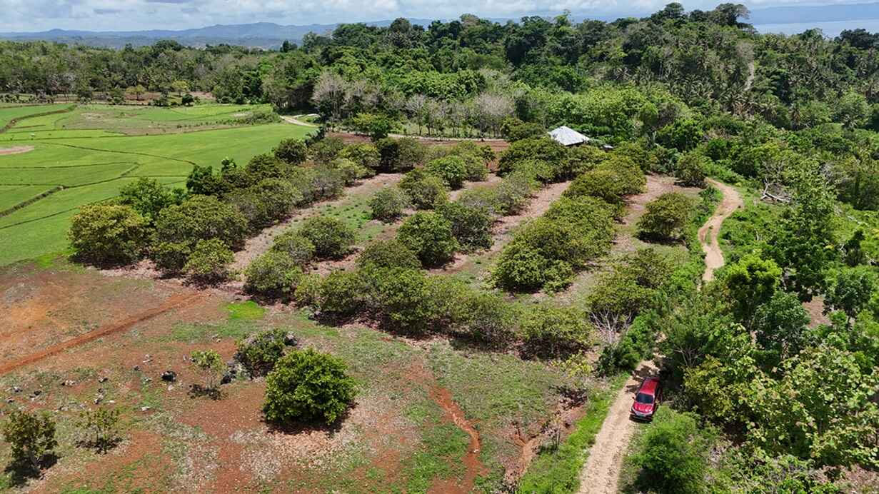 Ocean view land for sale in Rua, Sumba - Indocasa Properties