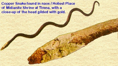 Copper Snake at Timna - scook