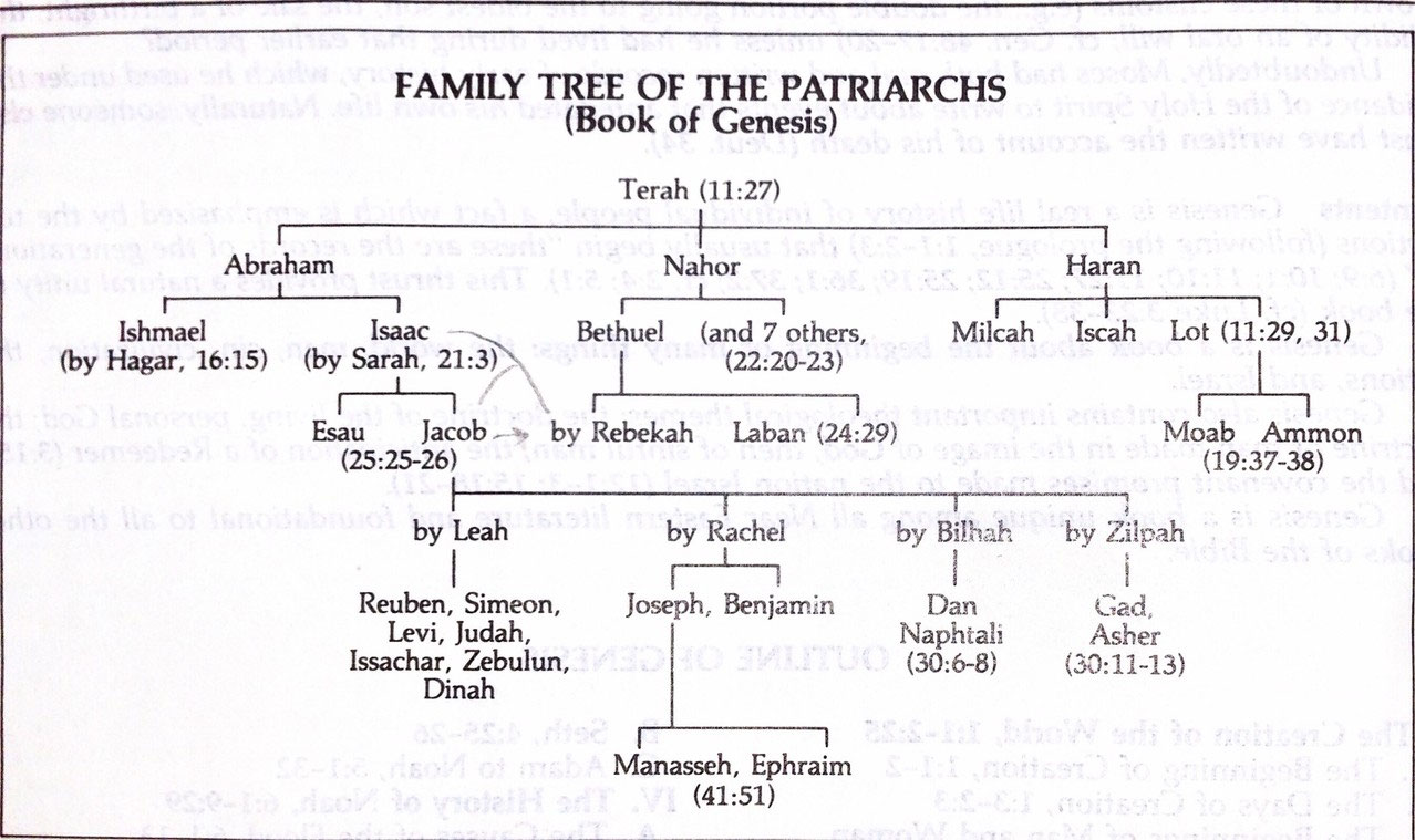 Family Tree of Patriarchs / Ancestors - scook